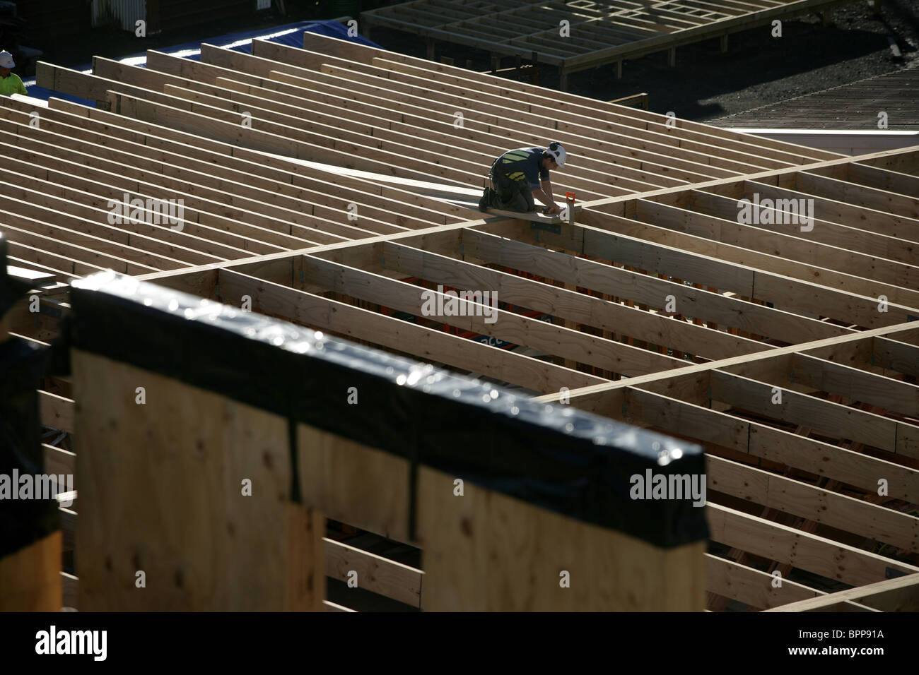 The timber and LVL laminated veneer lumber frame for NMIT's new Arts ...