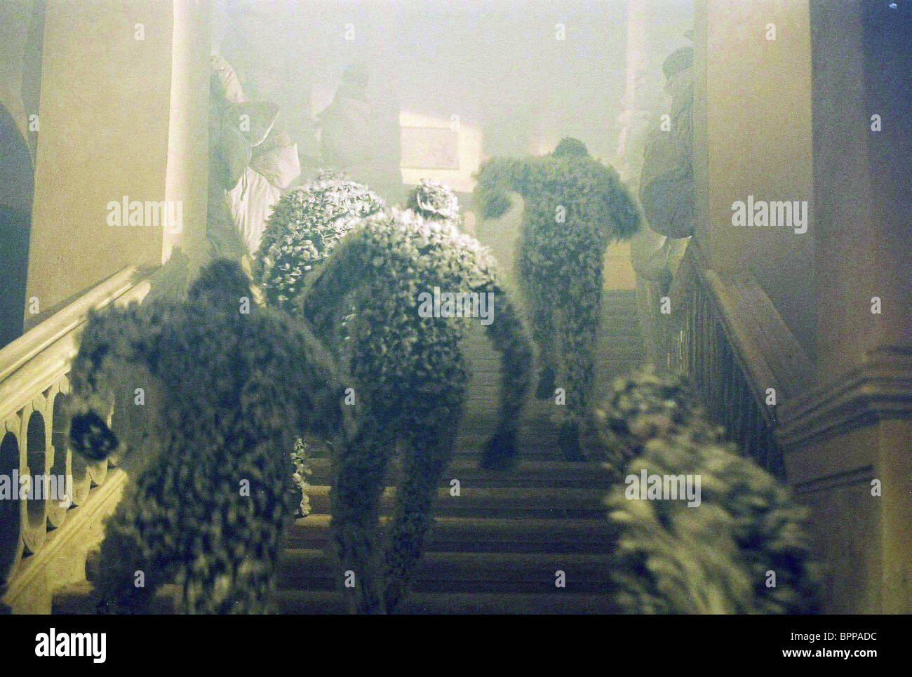 Tarred And Feathered High Resolution Stock Photography and Images - Alamy