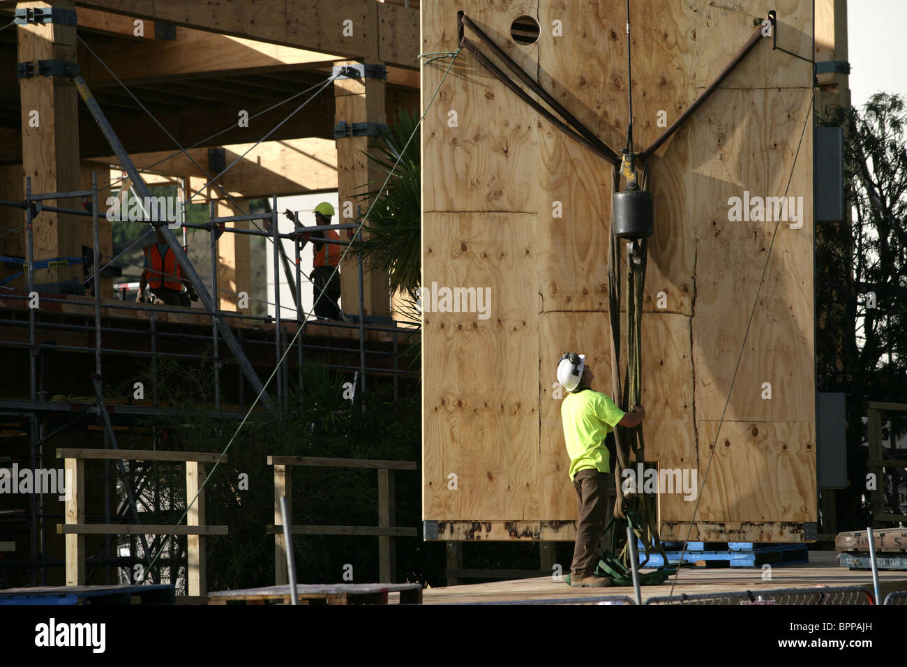 The timber and LVL laminated veneer lumber frame for NMIT's new Arts ...