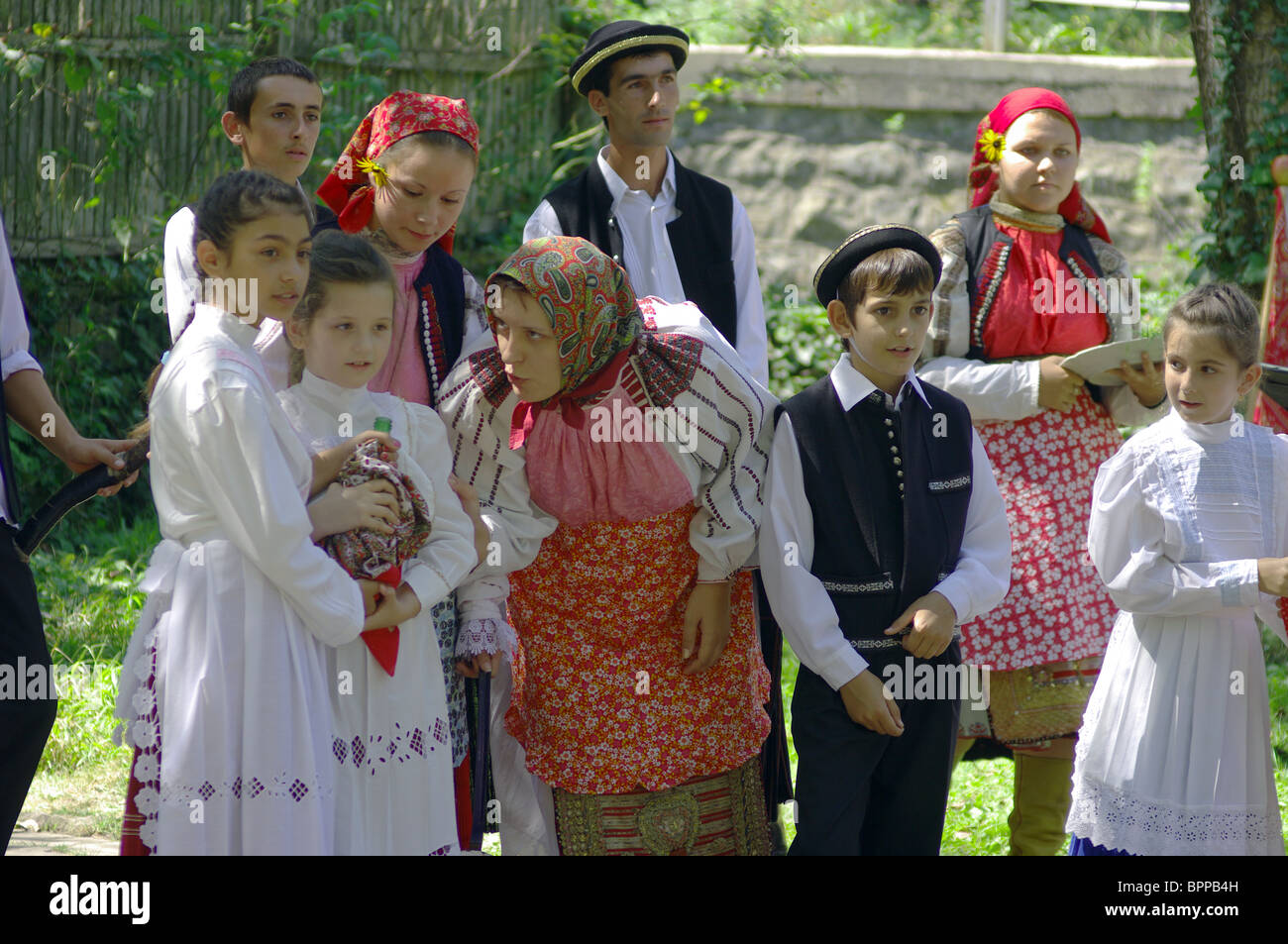 Bardarski geran hi-res stock photography and images - Alamy