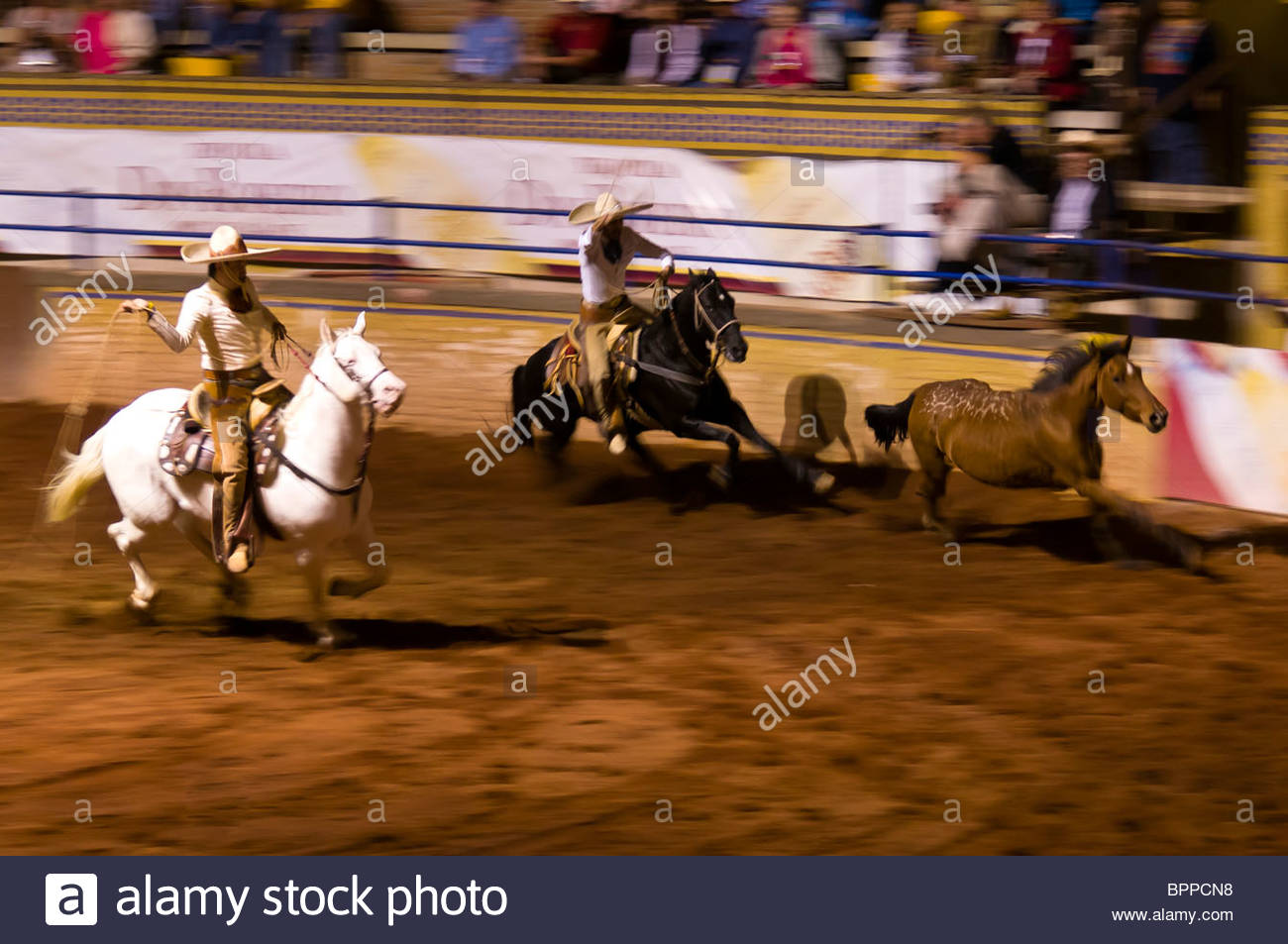 Charreada Stock Photos & Charreada Stock Images - Alamy