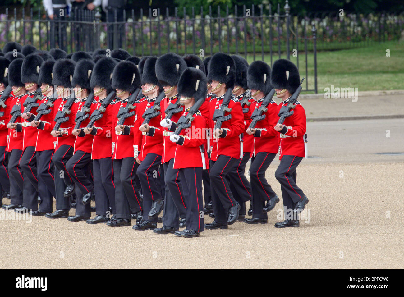 Nijmegen company grenadier guards hi-res stock photography and images ...