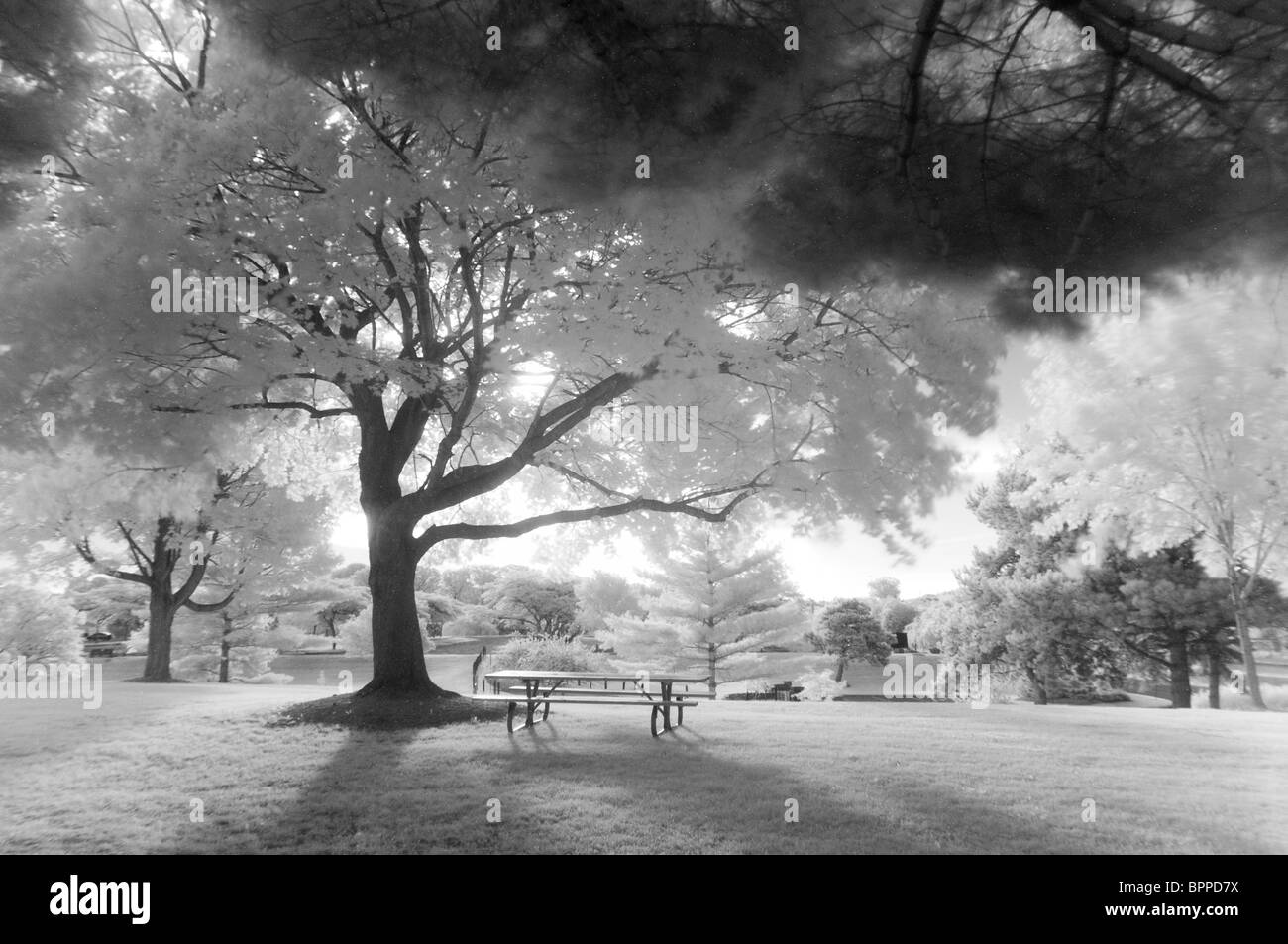 Photographing infrared lights adds other hi-res stock photography and ...