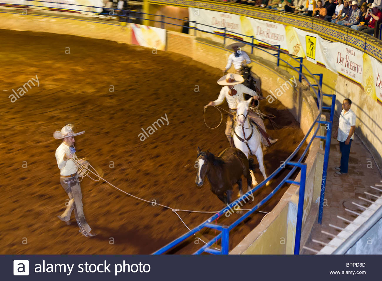 Charreada Stock Photos & Charreada Stock Images - Alamy