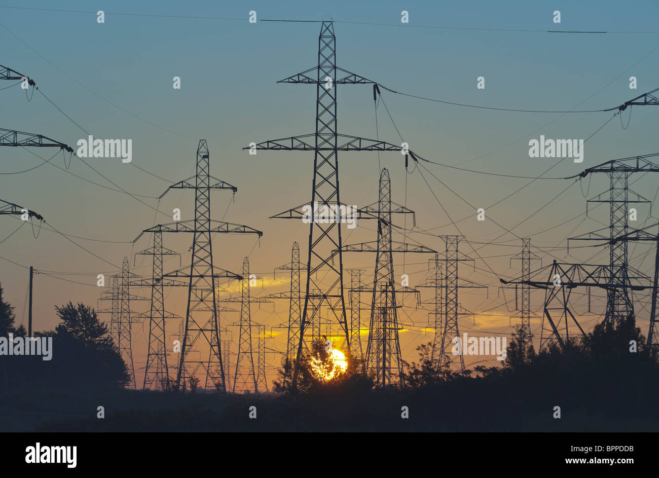 The sun highlights a mass of high energy electrical towers that ...
