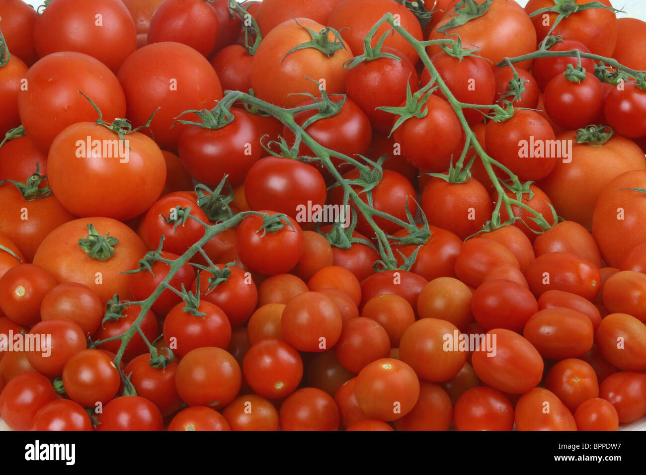 selection of different tomatoes Stock Photo - Alamy