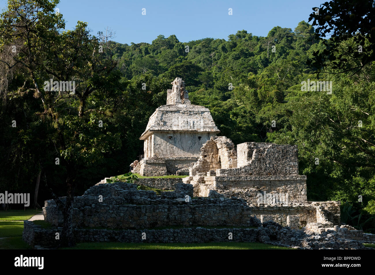 Temple of the sun, Maya ruins of Palenque, Mexico Stock Photo - Alamy