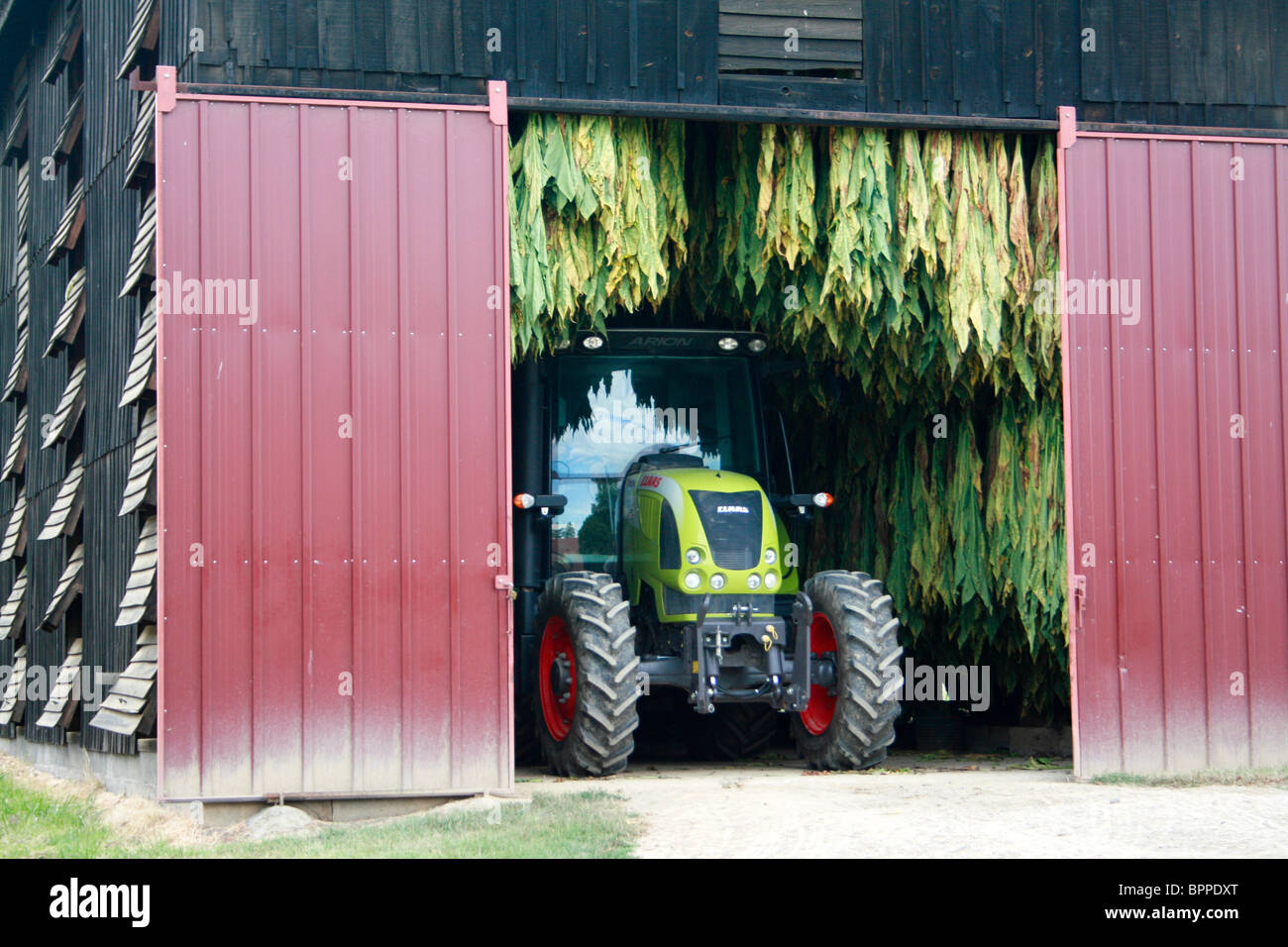 Drying sheds hi-res stock photography and images - Alamy