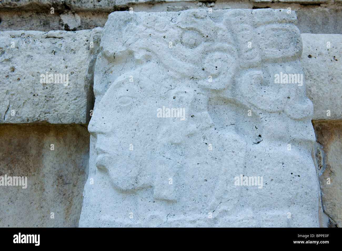 Limestone relief in the Palace, Maya ruins of Palenque, Mexico Stock ...