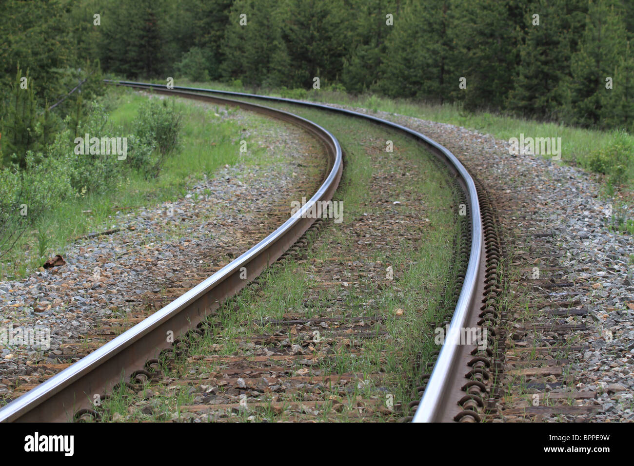 Railroad tracks leading away to a corner through a forest in British ...