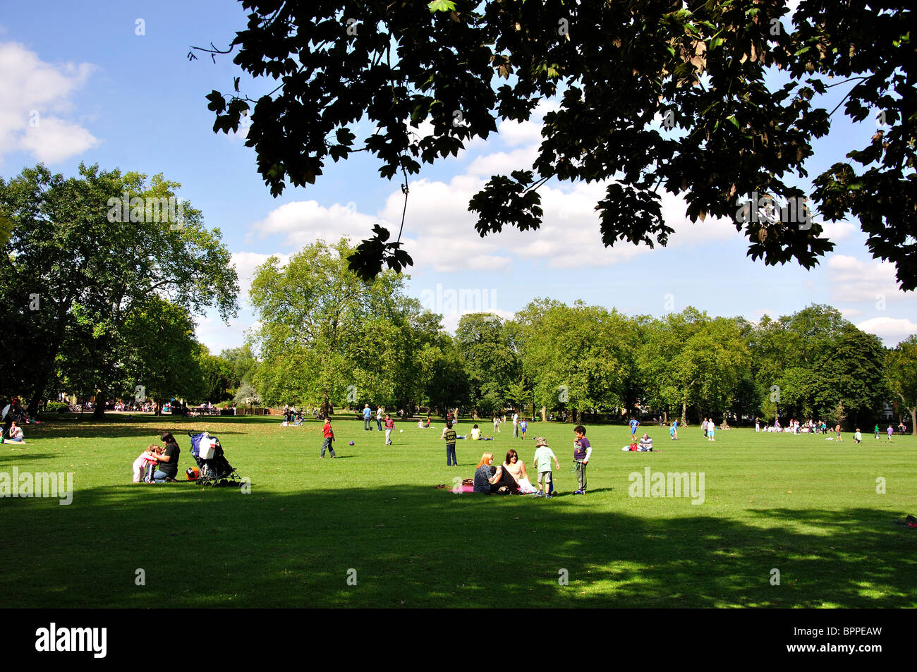 Park in summer, Queen’s Park, London Borough of Brent, Greater London ...