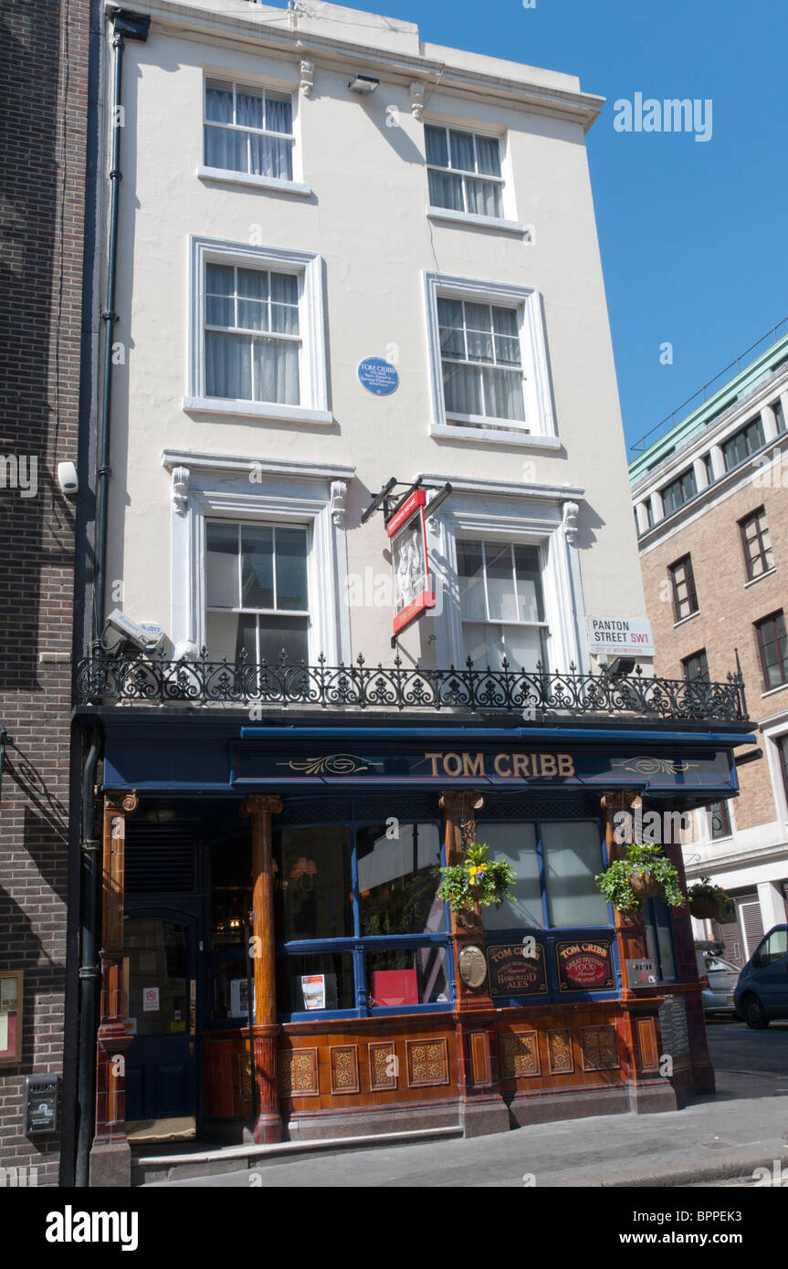 The Tom Cribb pub in Panton Street, London Stock Photo - Alamy