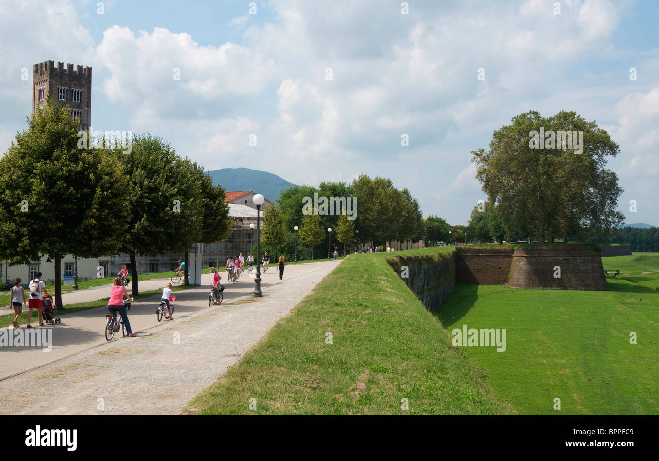 View of the famous Lucca city wall with many tourists cycling or ...