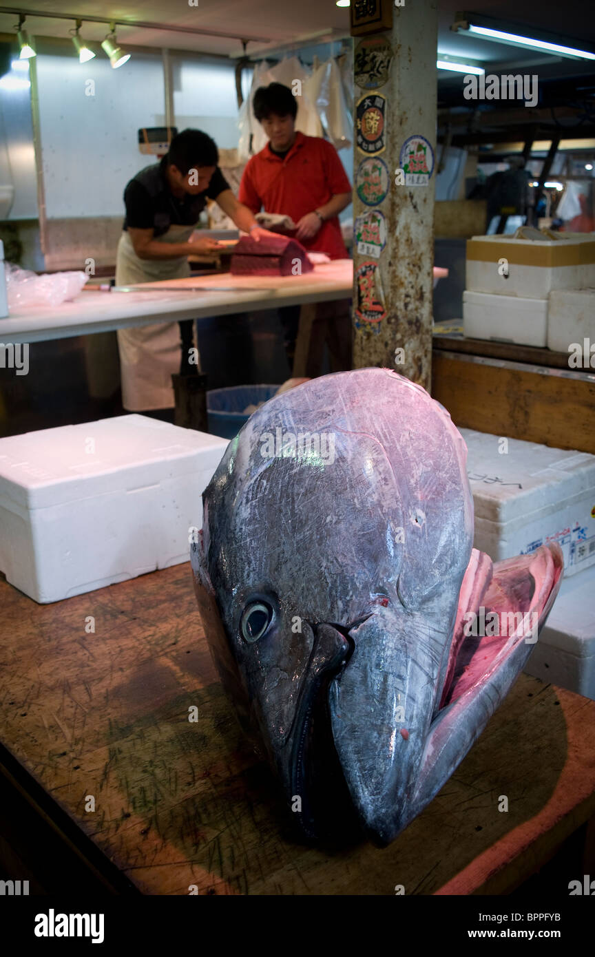 Tuna head in Tokyo Fish Market Stock Photo - Alamy