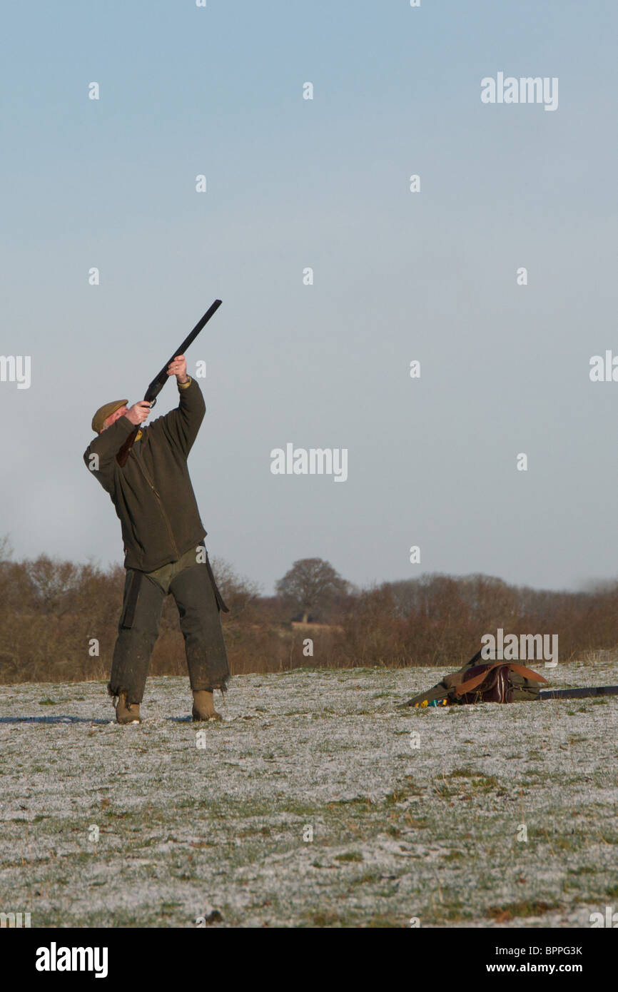 A pheasant shoot in the UK Stock Photo - Alamy