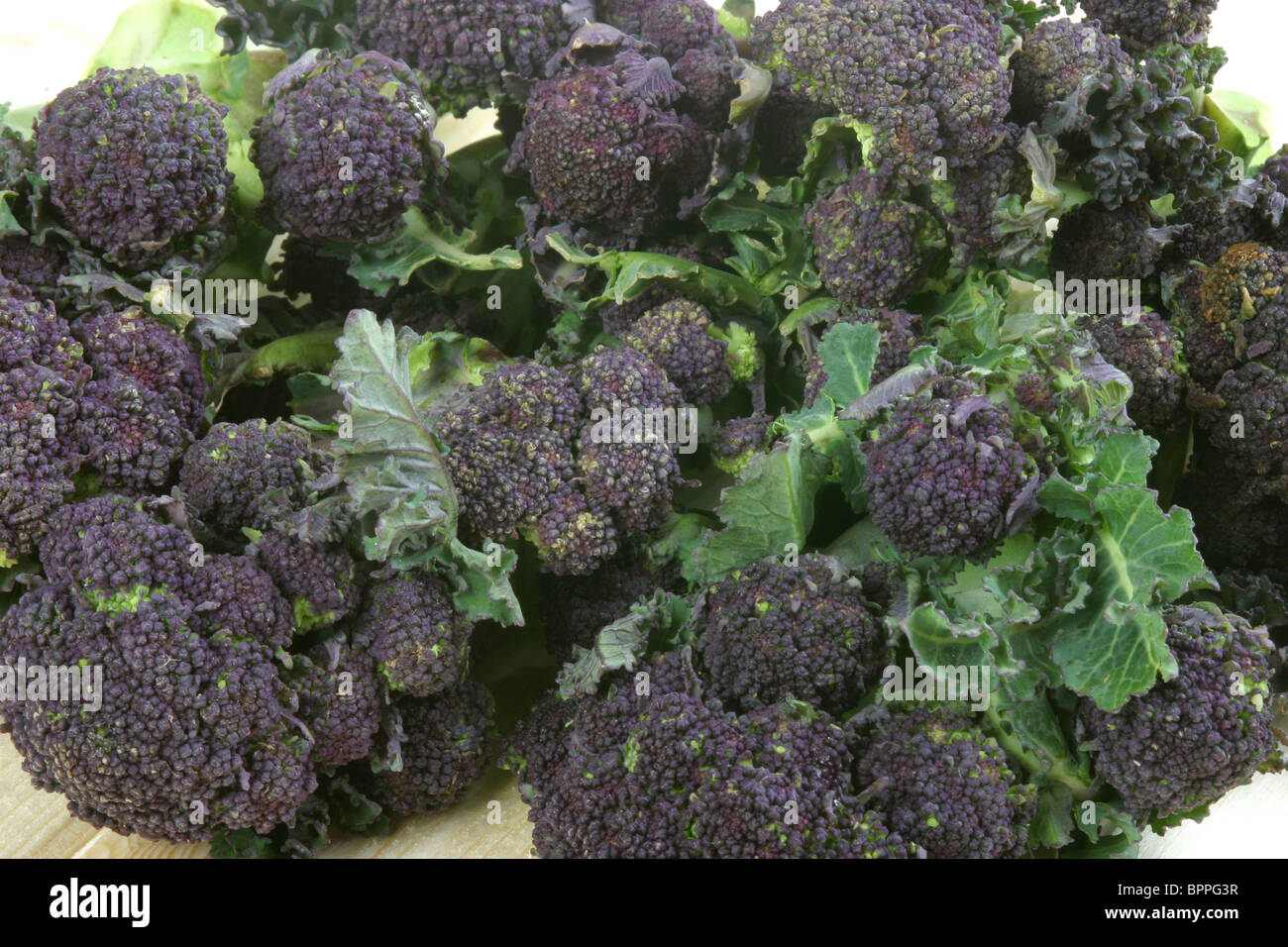 Broccoli purple sprouting hi-res stock photography and images - Alamy