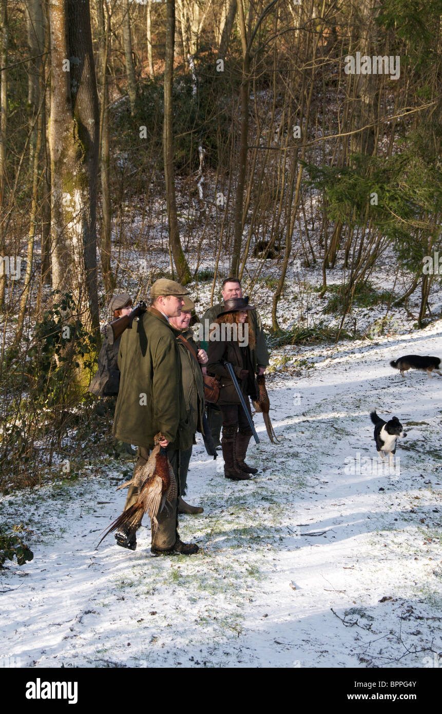A pheasant shoot in the UK Stock Photo - Alamy