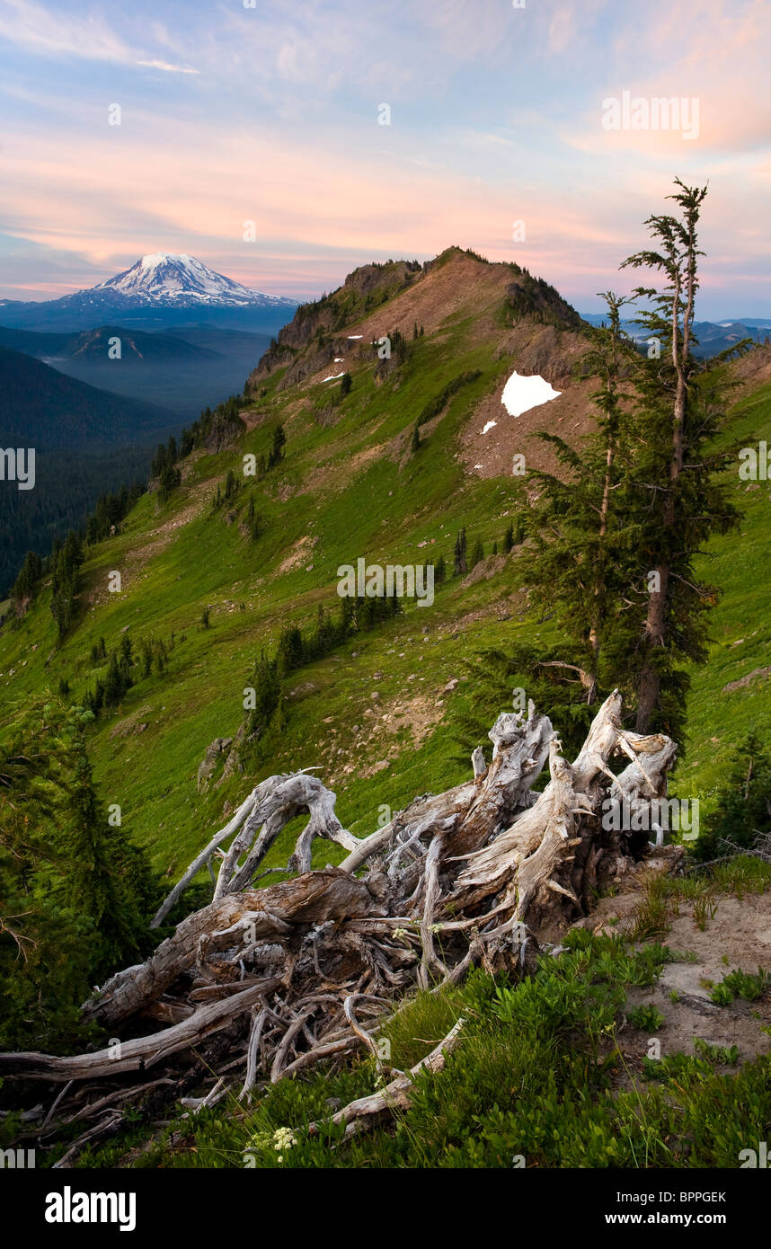 Goat Rocks Wilderness High Resolution Stock Photography and Images - Alamy