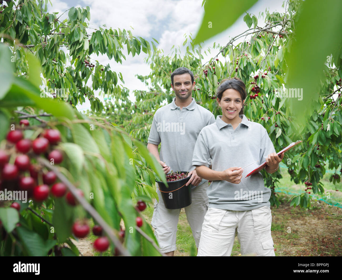 The cherry orchard hi-res stock photography and images - Alamy