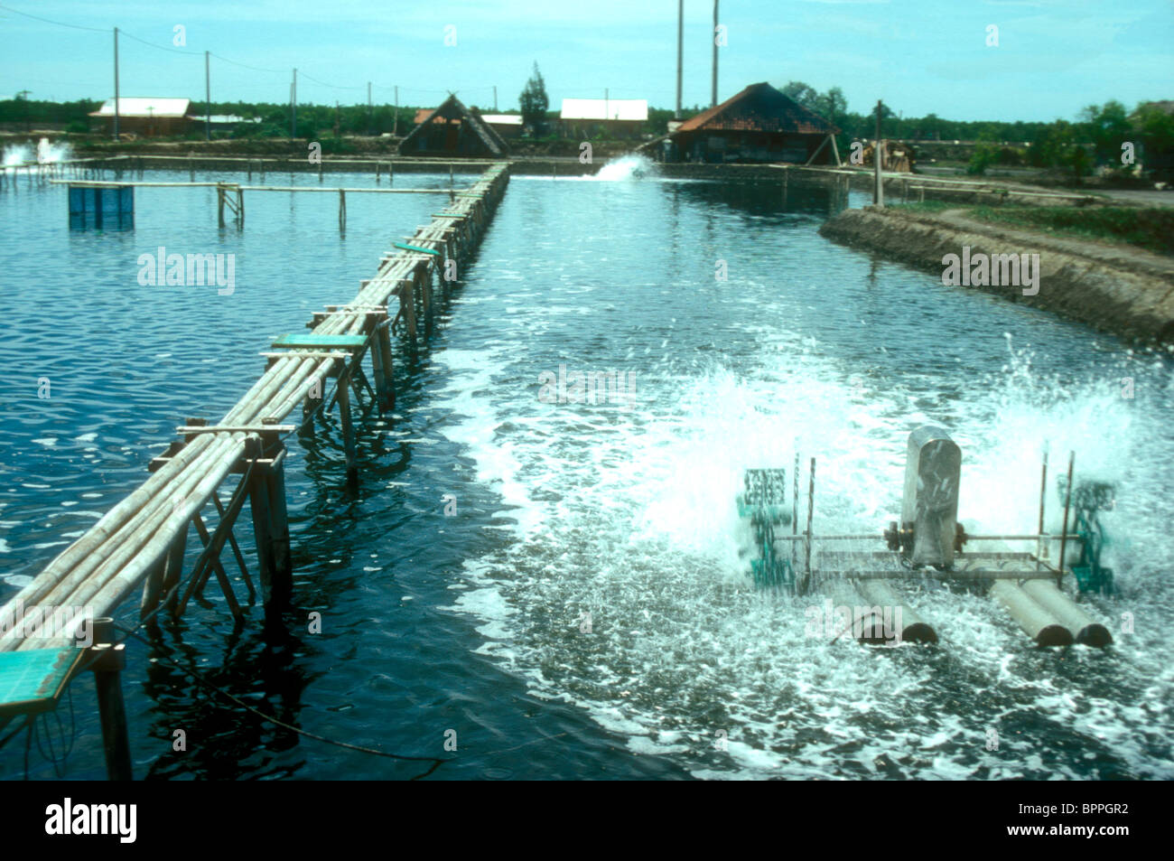 Aqua-culture, a prawn farm on the island of Bali, Indonesia Stock Photo ...