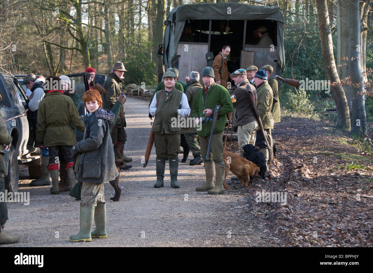 A pheasant shoot in the UK Stock Photo - Alamy
