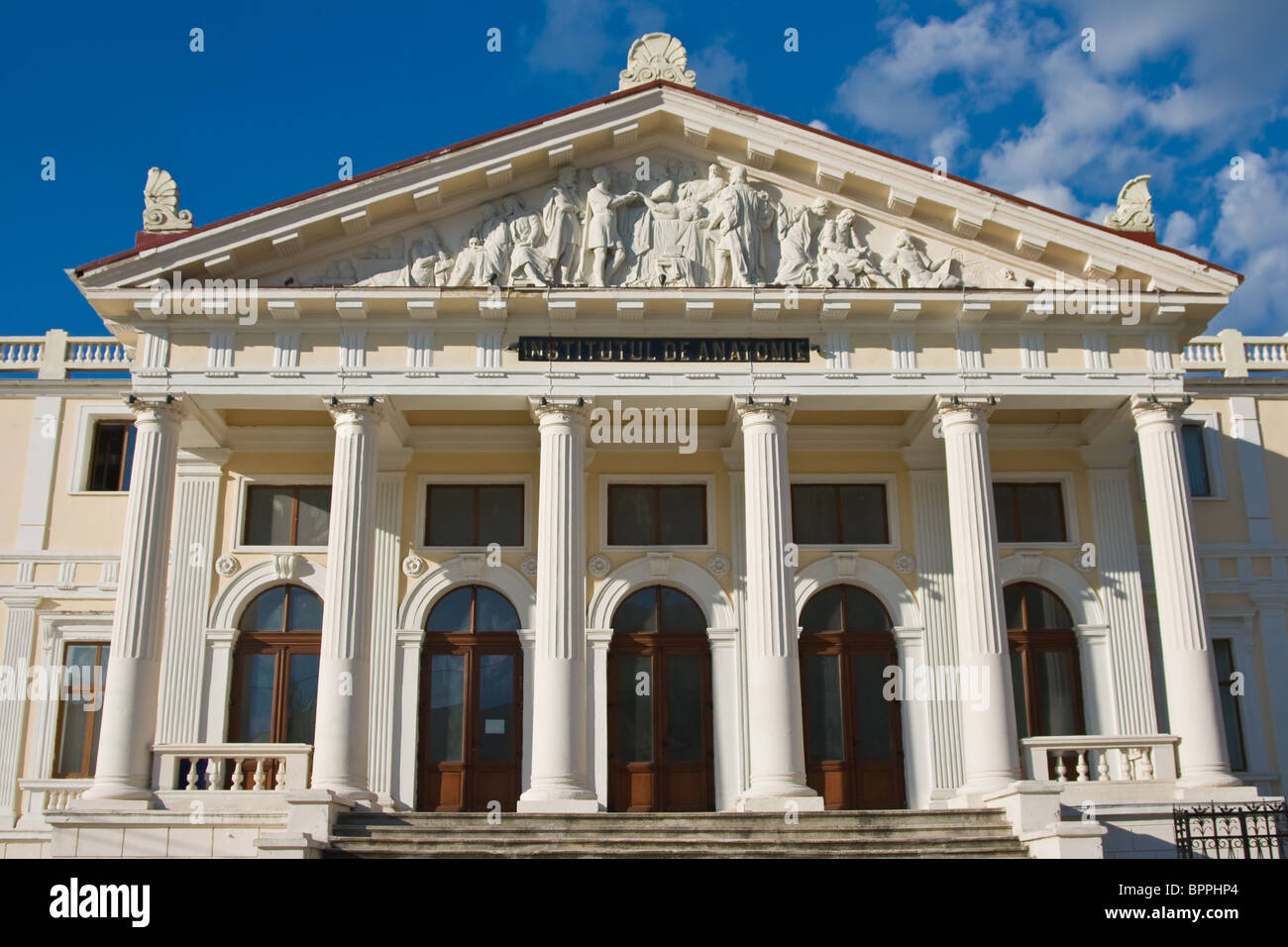 Horizontal anatomy hi-res stock photography and images - Alamy