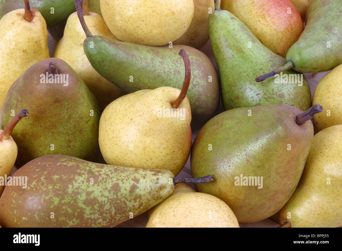 selection of pears in a group Stock Photo - Alamy