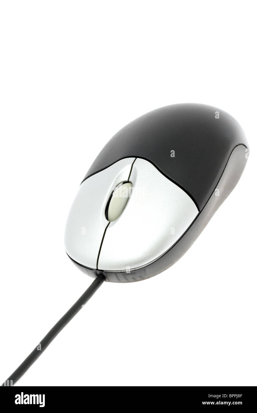 Gray mouse hi-res stock photography and images - Alamy