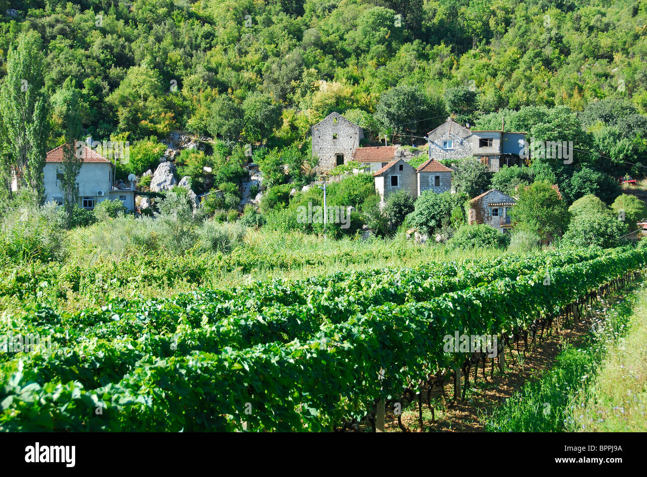 Village house croatian rustic farm hi-res stock photography and images ...