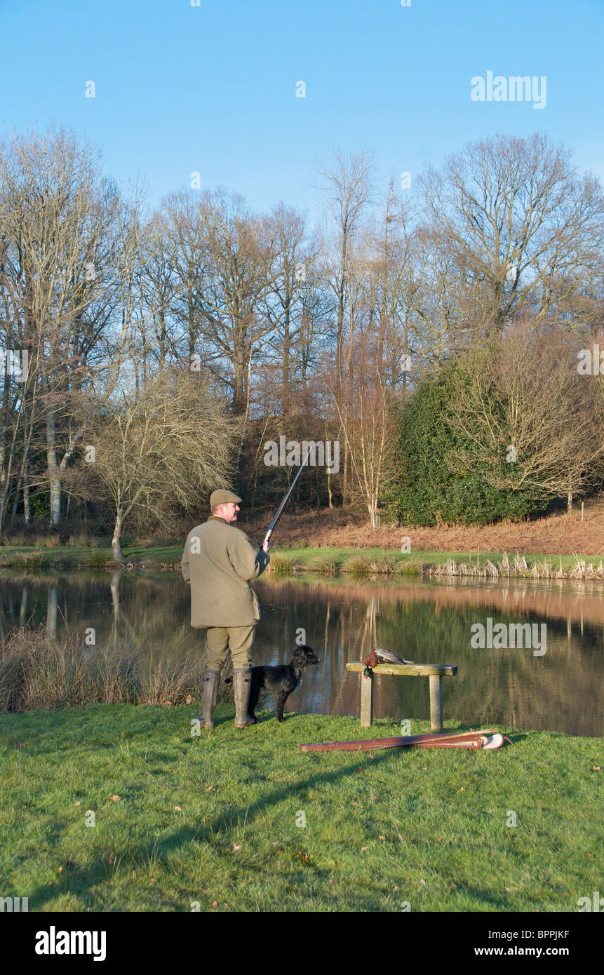 A pheasant shoot in the UK Stock Photo - Alamy