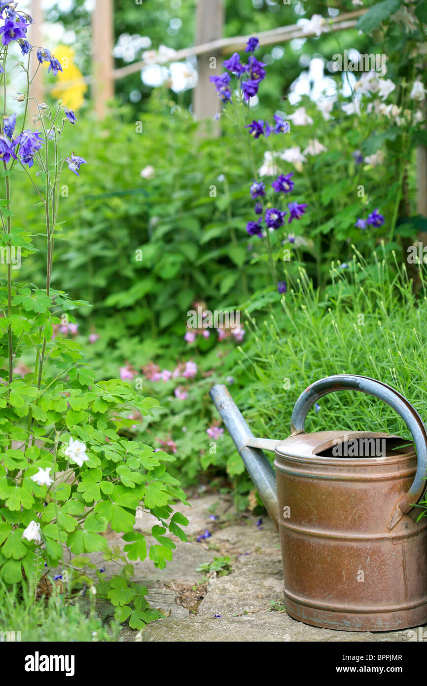 Old rusty watering can on a garden path Stock Photo - Alamy