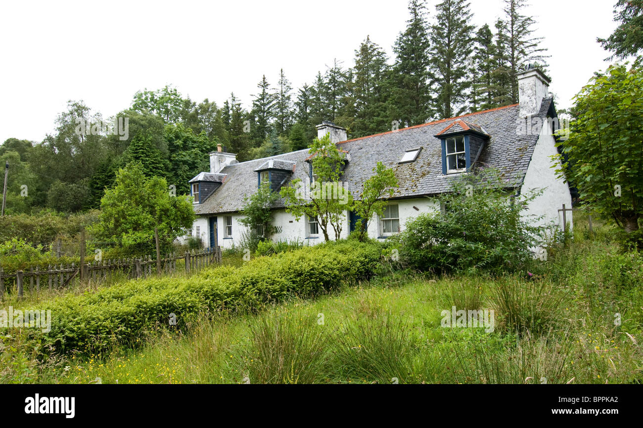 Overgrown gardens hi-res stock photography and images - Alamy