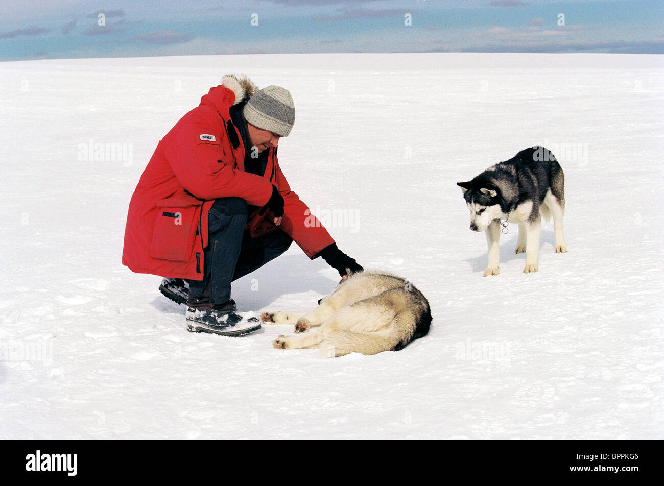 Frank Marshall Eight Below Antarctica Stock Photos & Frank Marshall ...