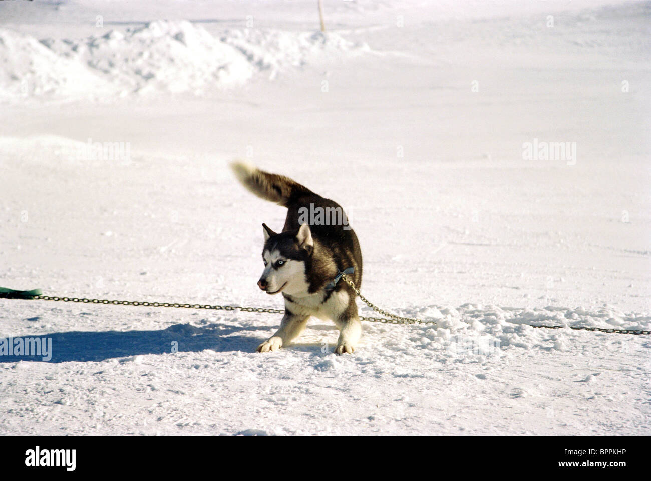 Eight Below High Resolution Stock Photography and Images - Alamy