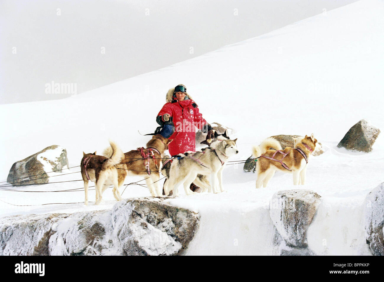 Antarctica Paul Walker 2006 High Resolution Stock Photography and ...