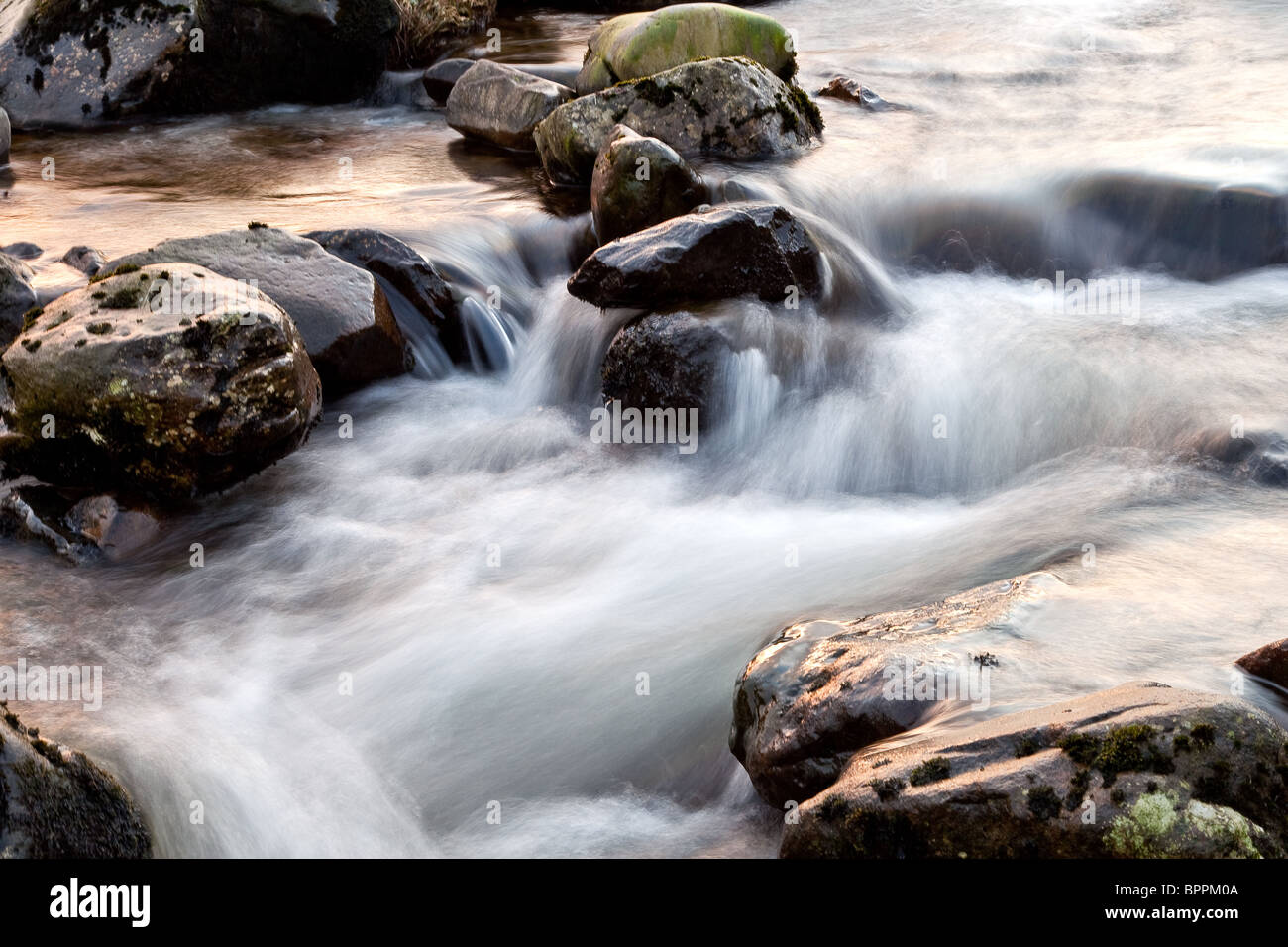 Flowing water in a Scottish stream at sunset Stock Photo - Alamy