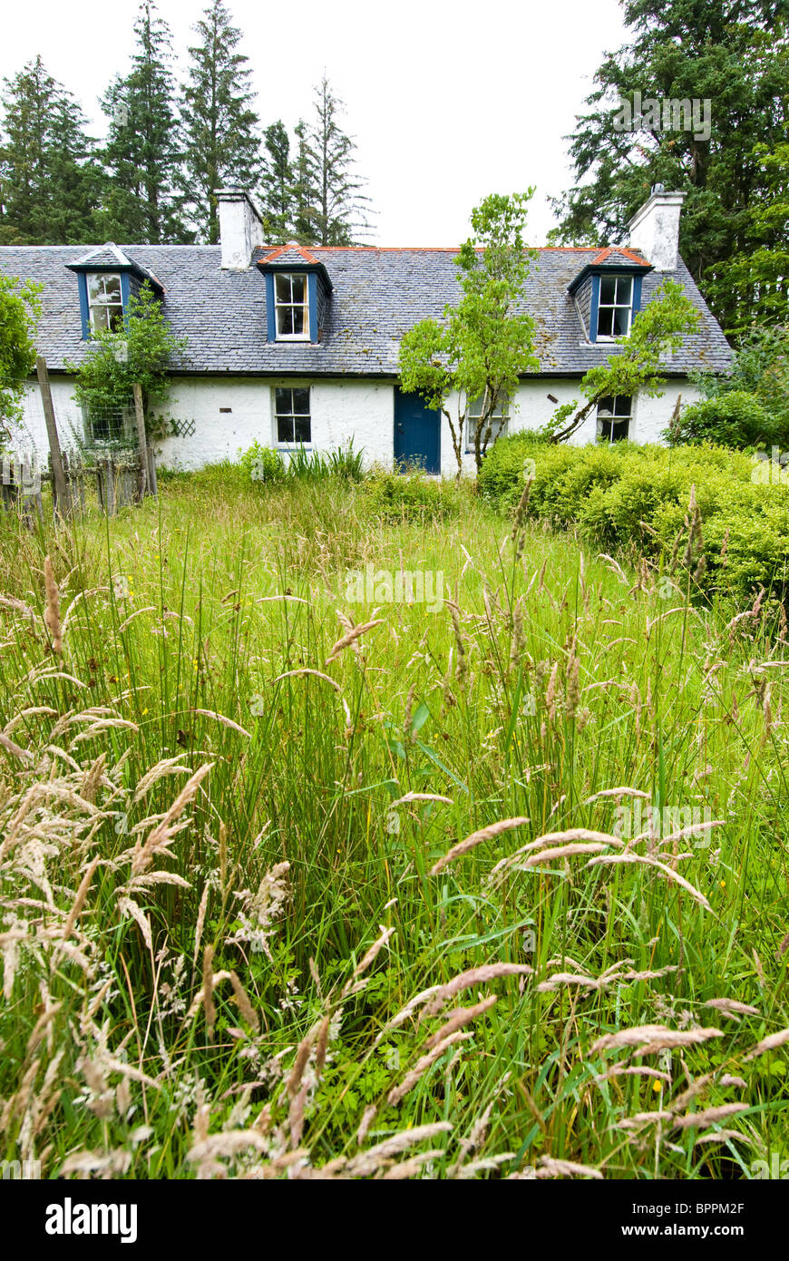 Overgrown gardens hi-res stock photography and images - Alamy