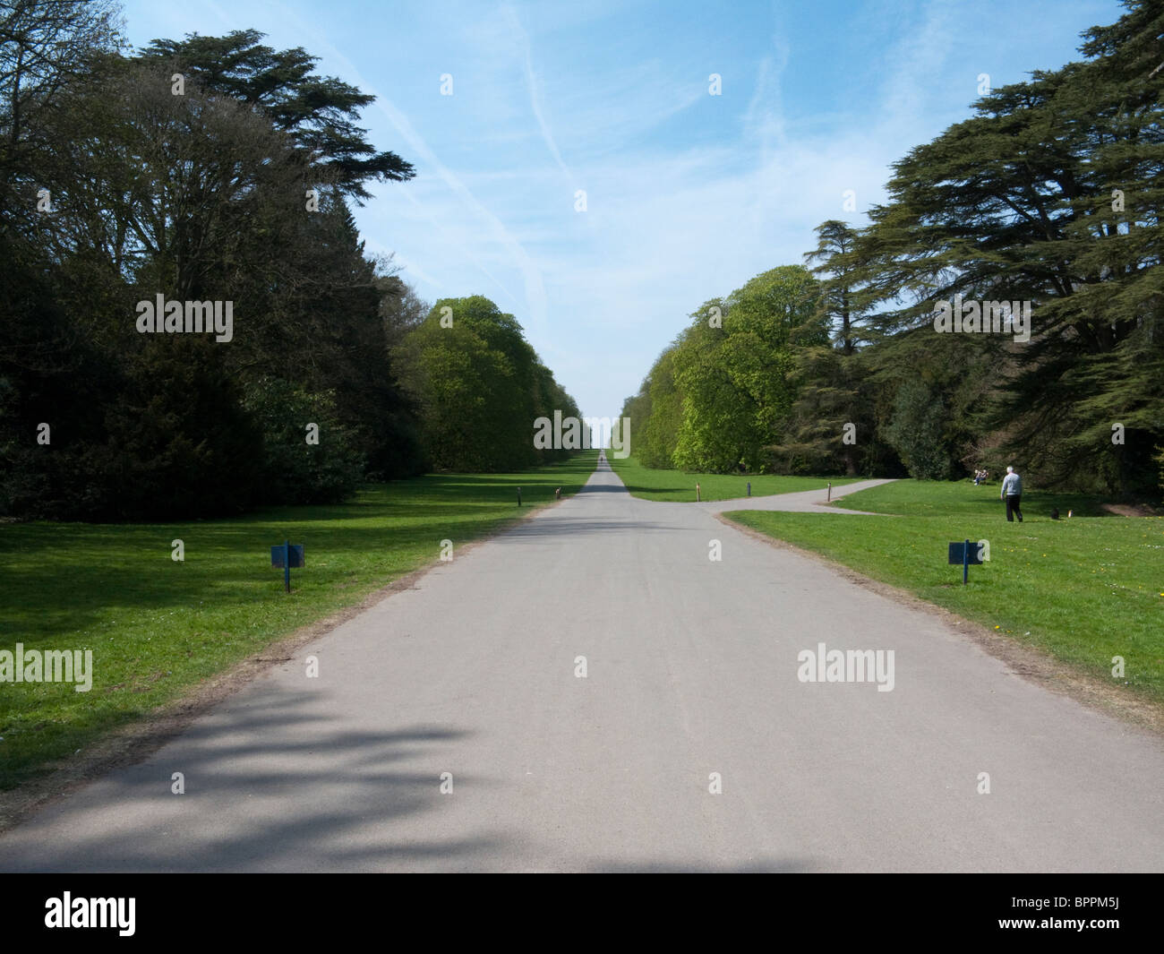 Cirencester park summer hi-res stock photography and images - Alamy