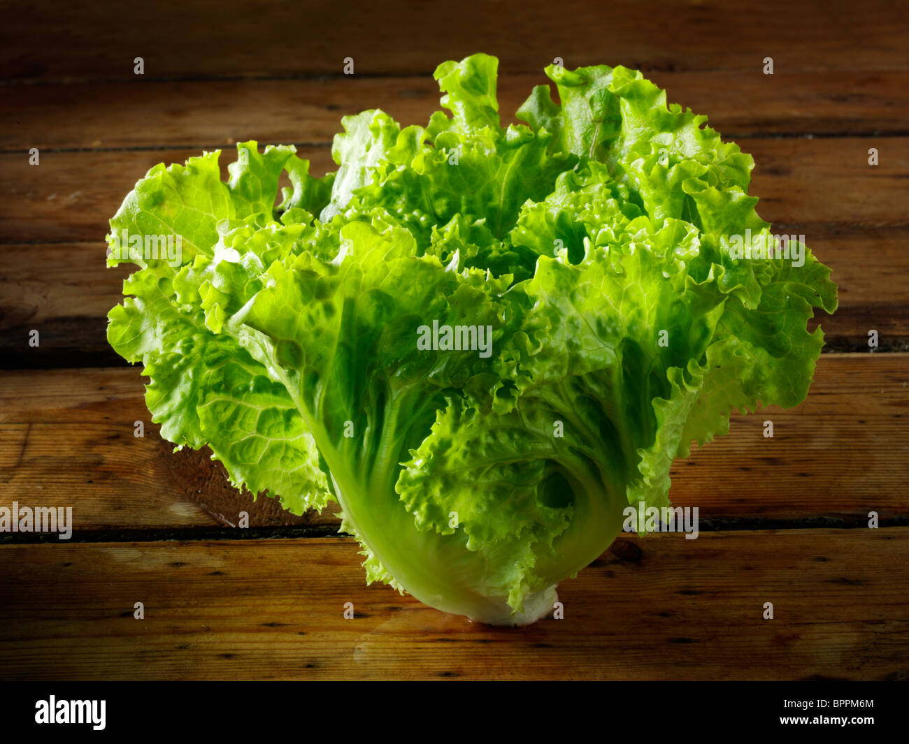 Image photos pictures images hi-res stock photography and images - Alamy