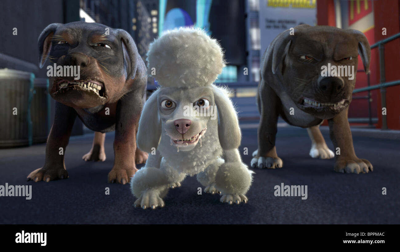 Dog Vicious High Resolution Stock Photography and Images - Alamy