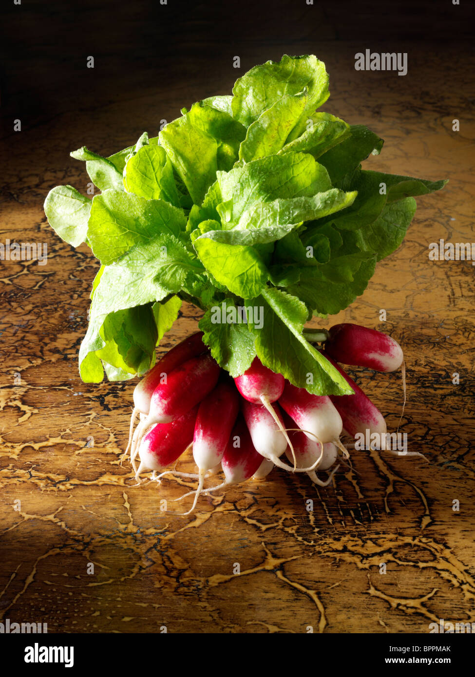 Raddish photos, pictures & images Stock Photo - Alamy