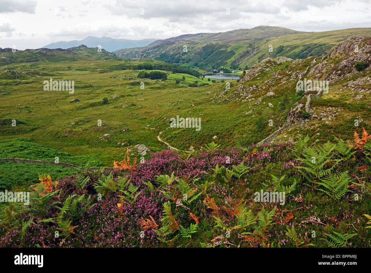 Watendlath Tarn from Great Crags in the Lake District National Park ...