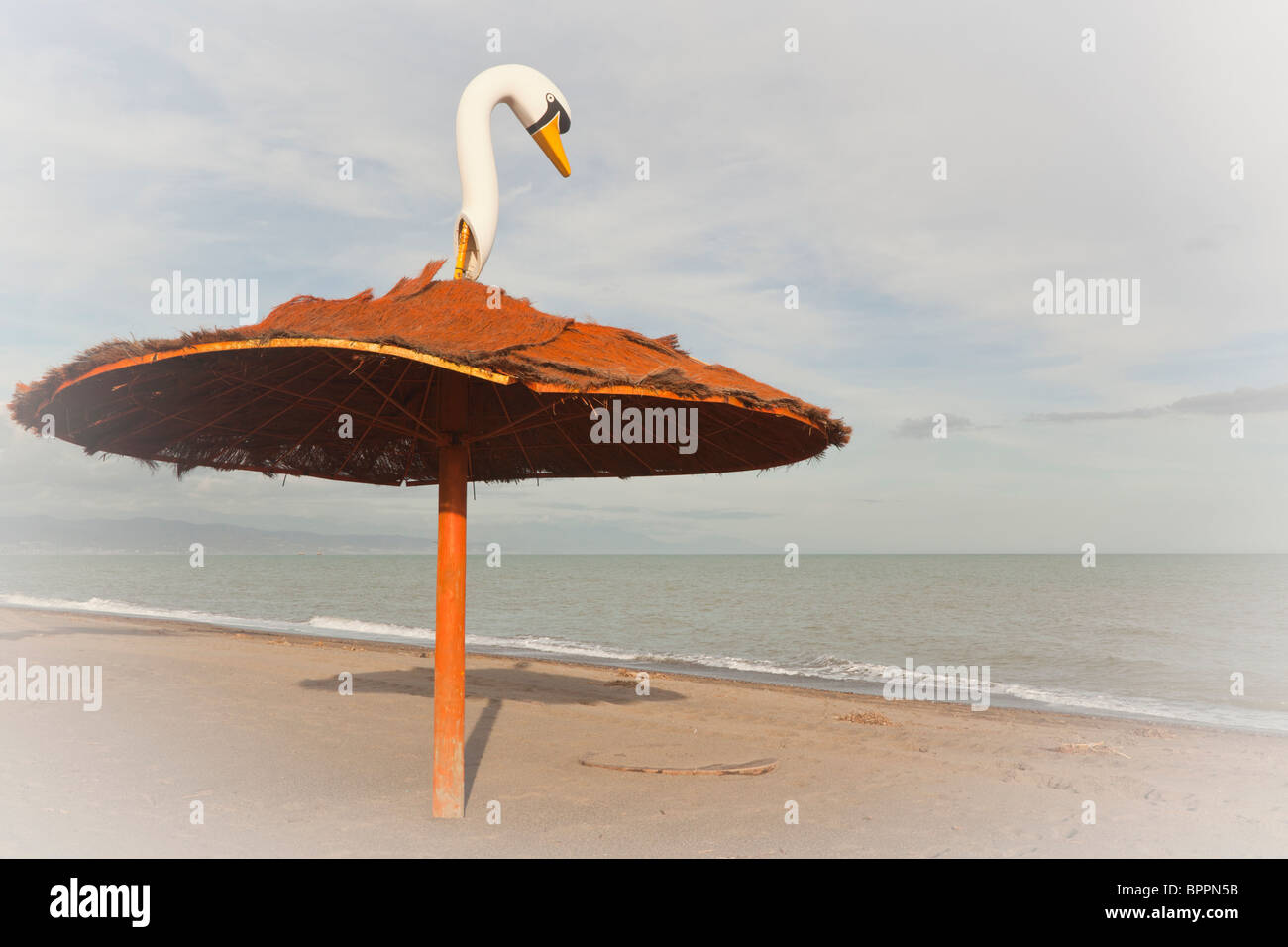 Sunshade with swan's head attached to top on Playamar beach ...