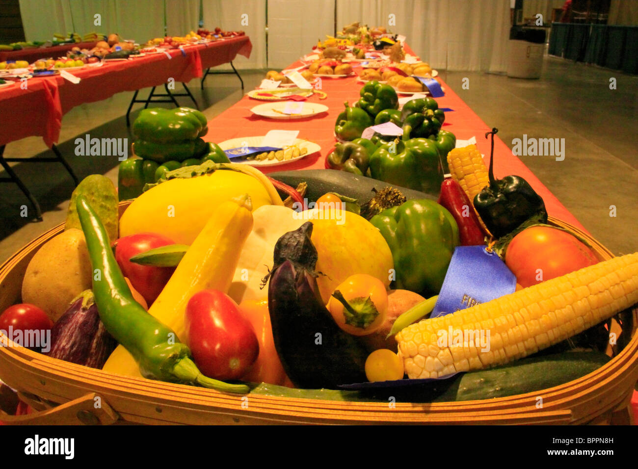 Vegetable Competition, Augusta County Fair, Fishersville, Shenandoah ...