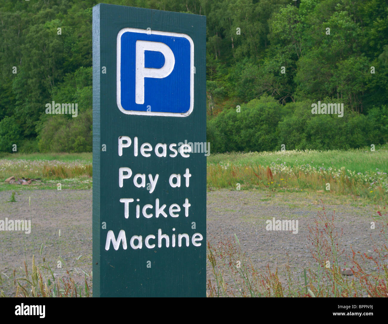 Scotland forestry commission car park hi-res stock photography and ...