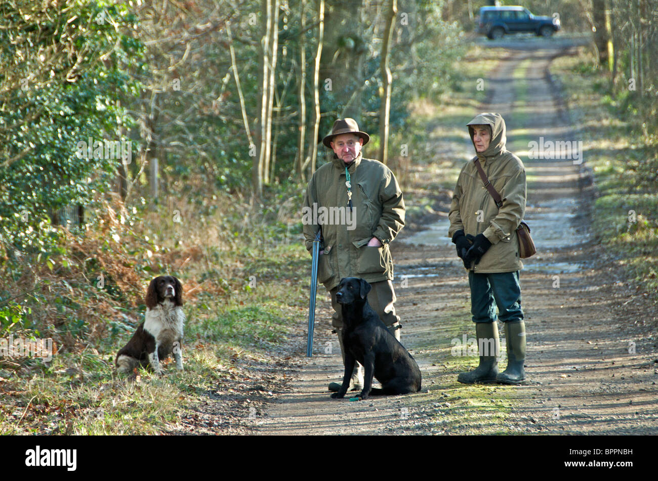 A pheasant shoot in the UK Stock Photo - Alamy