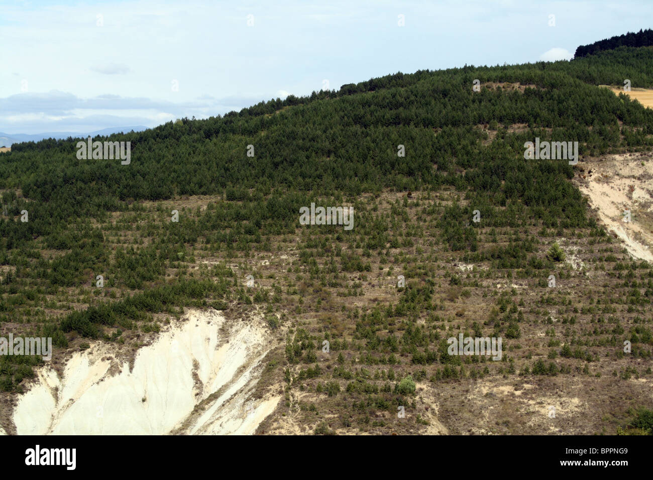 The Pirineros of Navarre. Pyrenees Stock Photo - Alamy