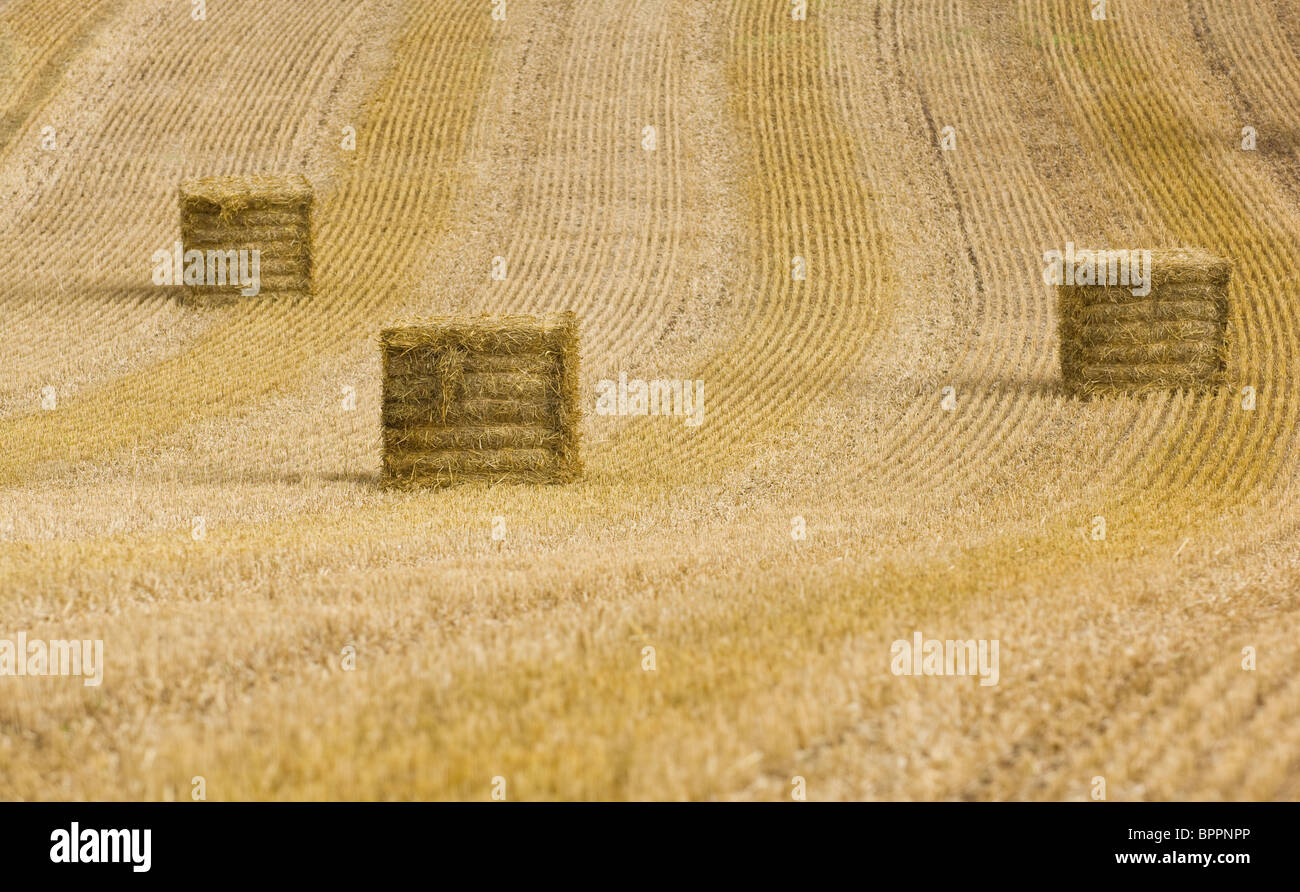 Square bails hi-res stock photography and images - Alamy