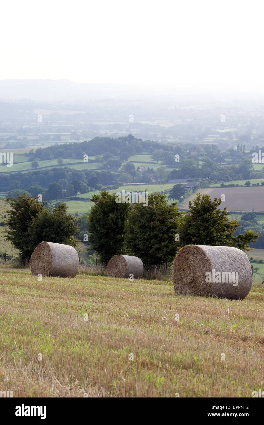 Gathering the harvest; Hay bales wait for the farmer to gather them in ...