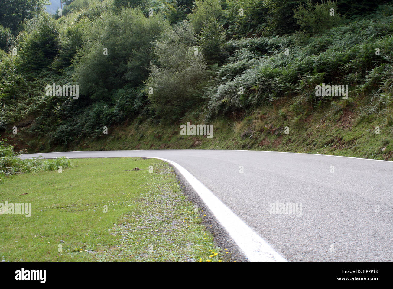 The Pirineros of Navarre. Pyrenees Stock Photo - Alamy
